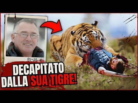 GLI ULTIMI ORRIBILI SECONDI DI NORMAN BUWALDA! MANGIATO VIVO DA UNA ...