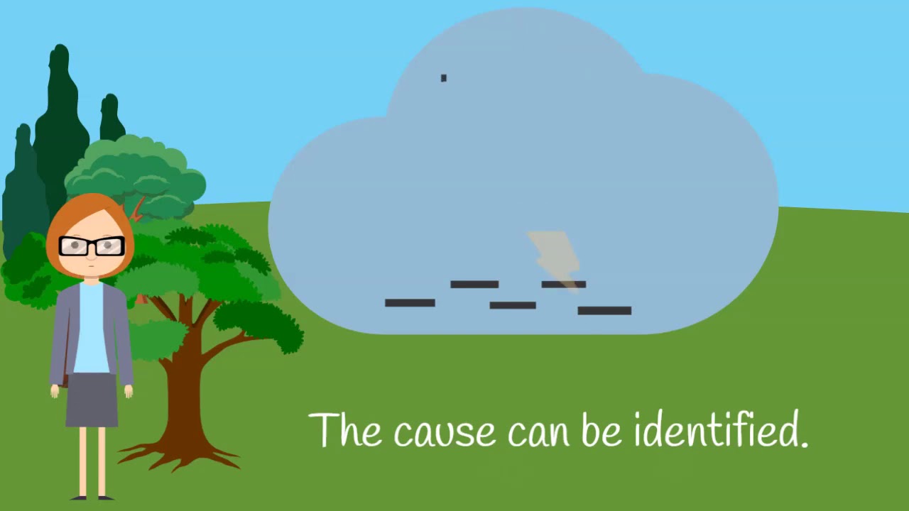 Basic Assumptions of Science - YouTube