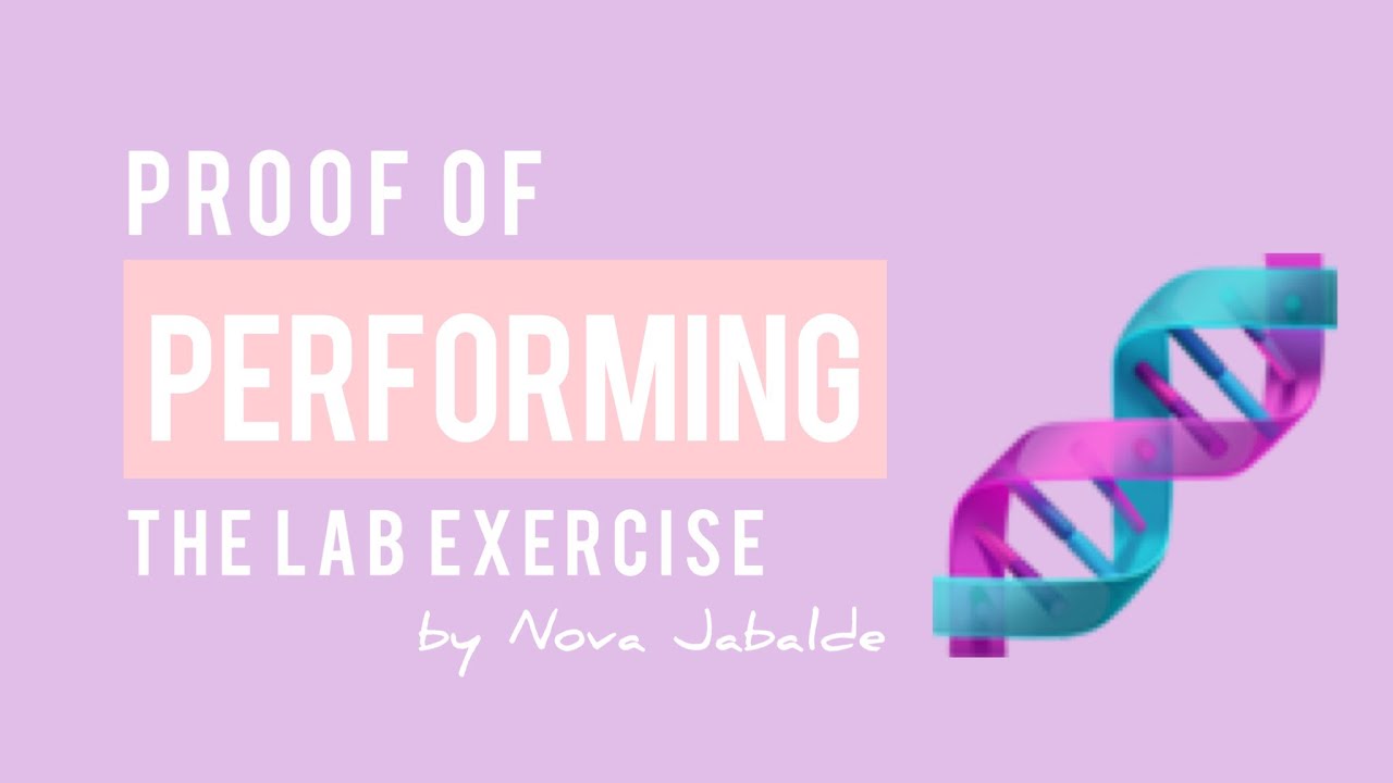 Assembling DNA and RNA Models - YouTube