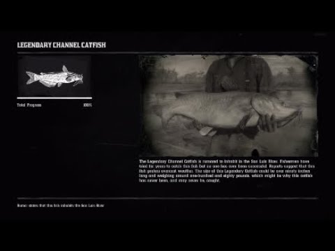 Rdr2 full compendium