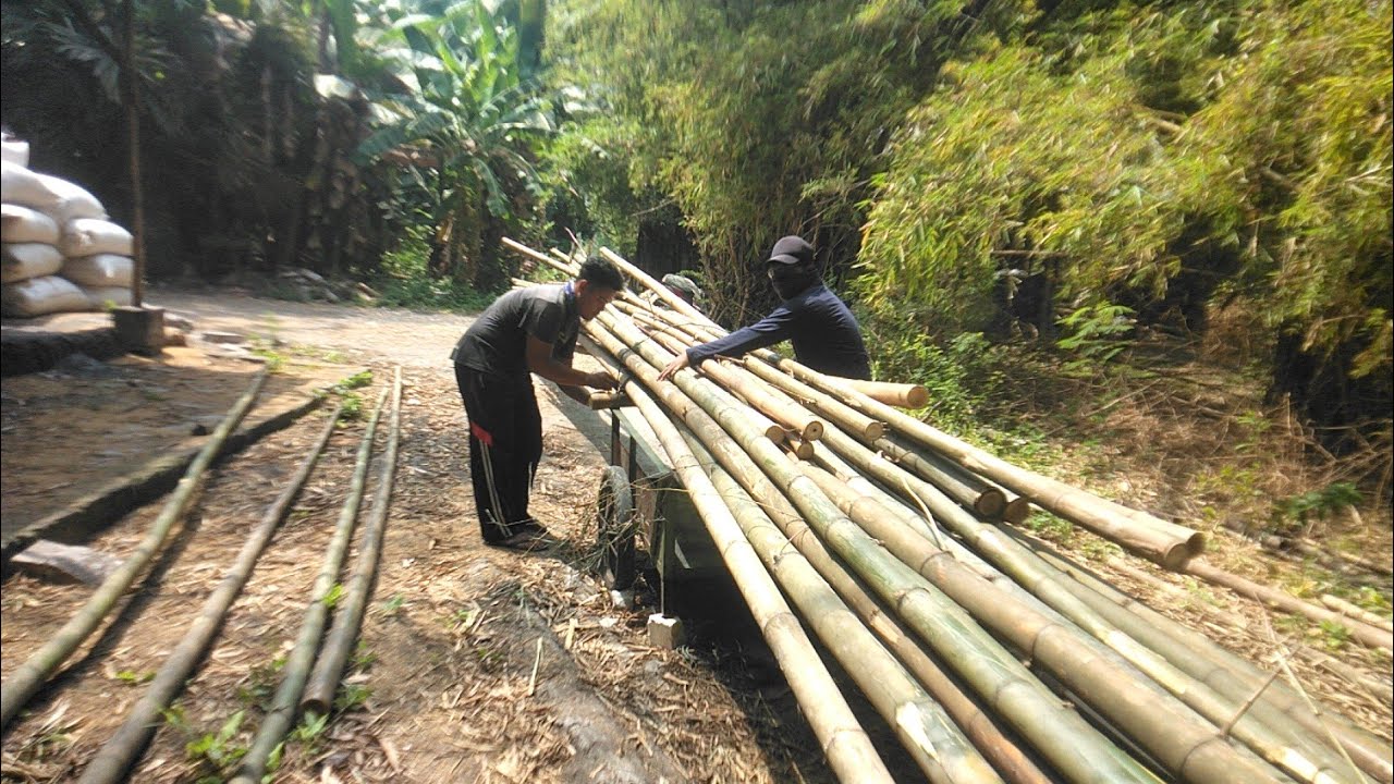 PEMBANGUNAN GREEN HOUSE BANGGA PETANI MUDA KE 3||PROSES MUAT BAMBU KE ...