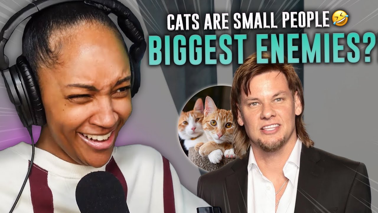 THERE'S NO WAY! | THEO VON | LITTLE PPL VS. CATS | REACTION - YouTube