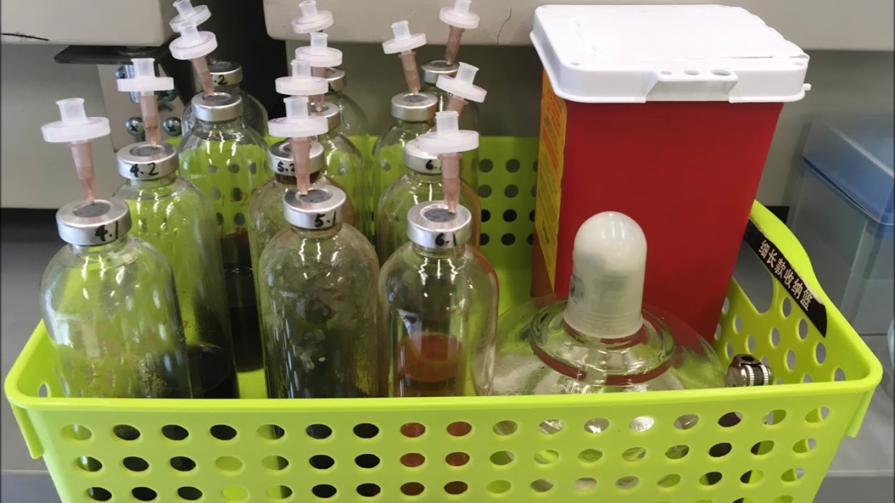 Converrting Wood Wastes to Bioethanol - YouTube