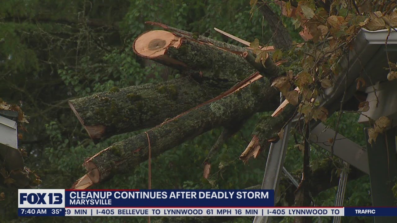 19-year-old killed by tree that fell during windstorm in Marysville ...