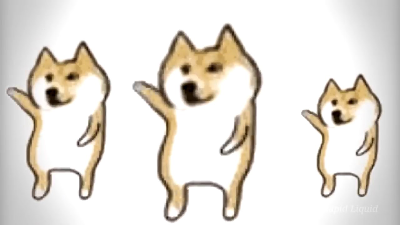 dog dancing meme template - YouTube