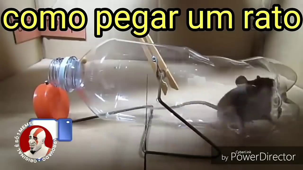 Melhores memes- PARCERIA COM DUDU MEMES - YouTube