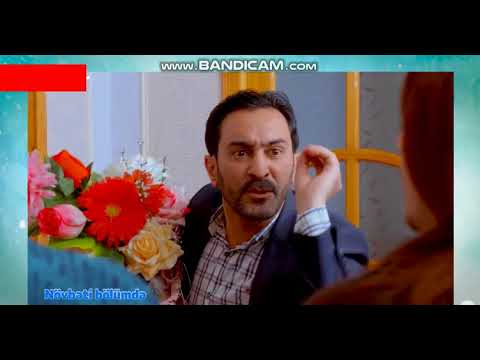 Xalxin Evi(33-Cu Seria) Anos