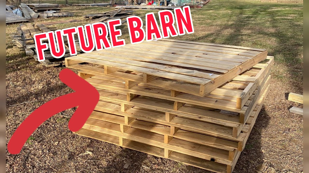Kunekune Pigs. Pallet Farrowing Barn. One Man Build. Part 1. - YouTube