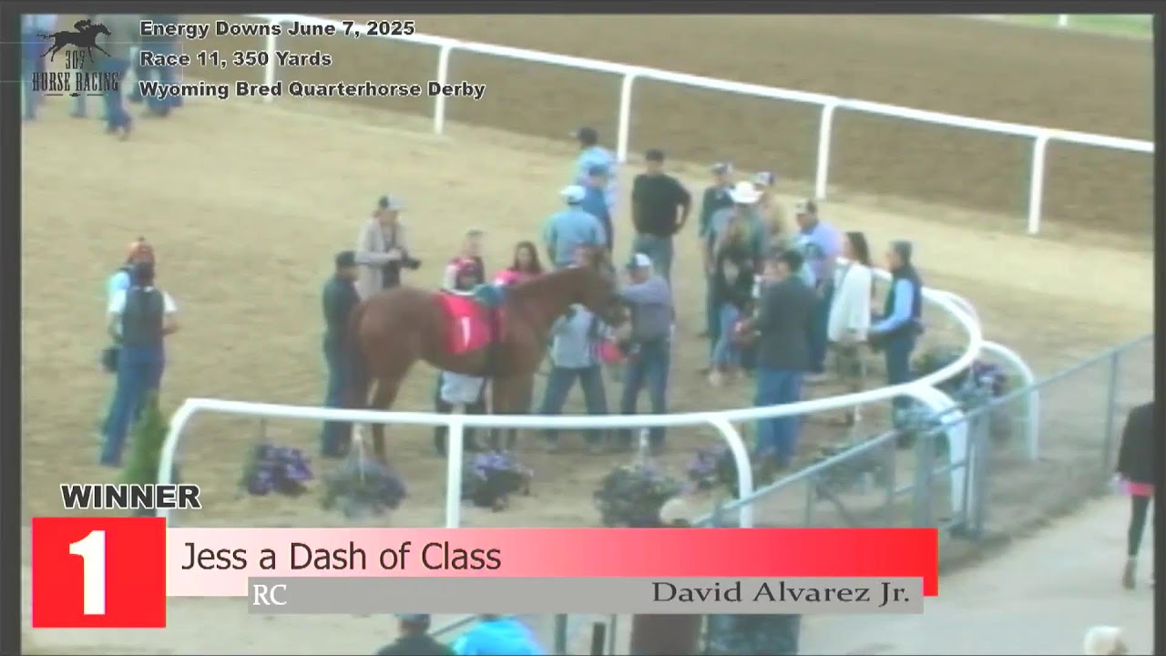 307 Horse Racing, Energy Downs, June 7 2025, Race 11 (350 Yards) - YouTube