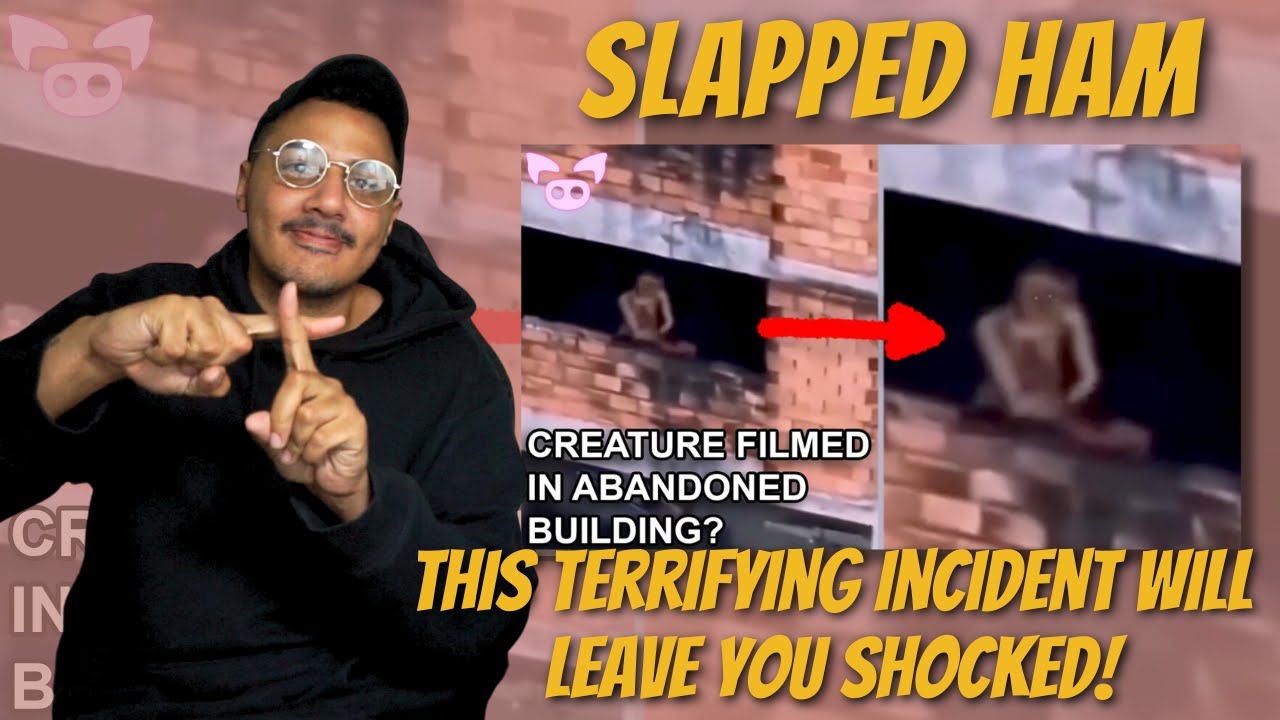 Slapped Ham | This Terrifying Incident Will Leave You Shocked ...