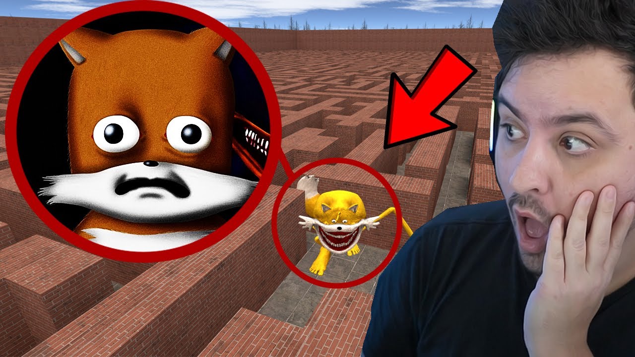 SE VOCÊ VER O *TAILS TAPES* EM UM LABIRINTO, FUJA RÁPIDO (SONIC TAPES ...