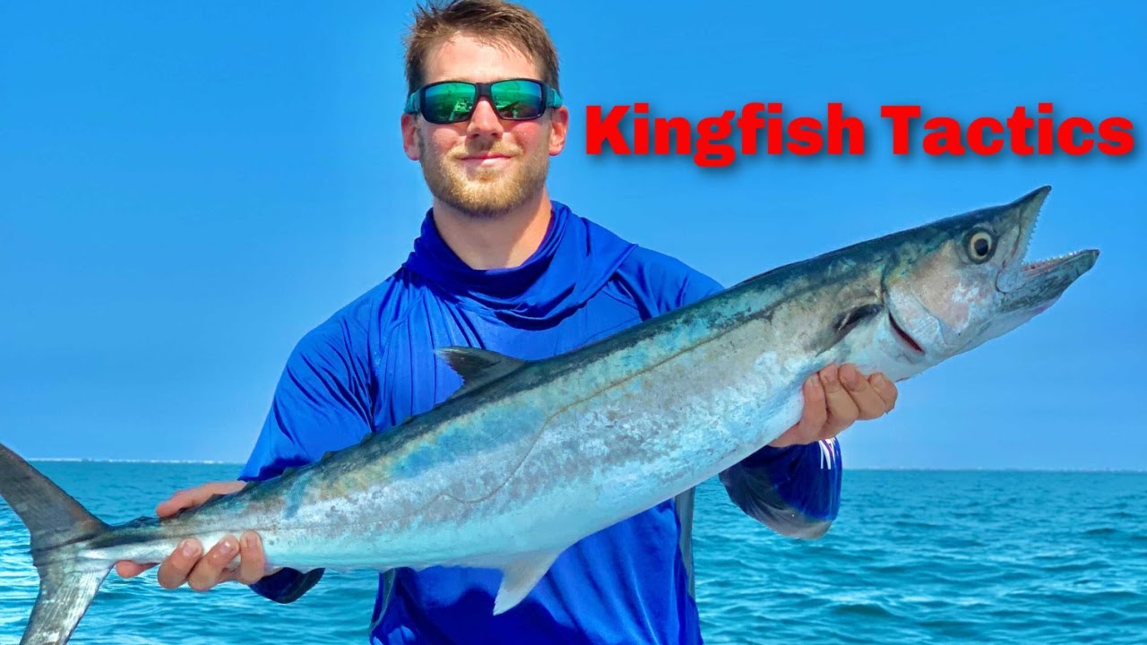 3 Quick Tips To Catch More Summertime Kingfish - YouTube