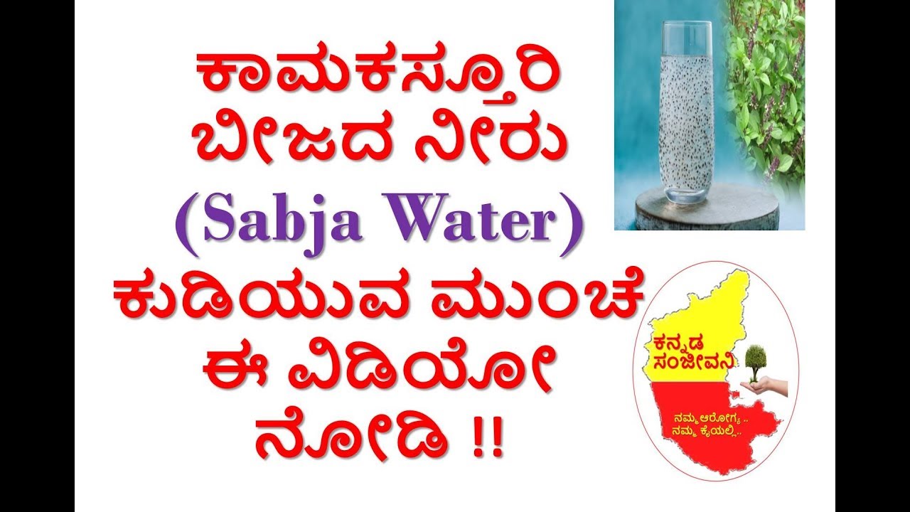 Health Benefits & Side effects of Sabja Seeds Water in Kannada | Basil ...