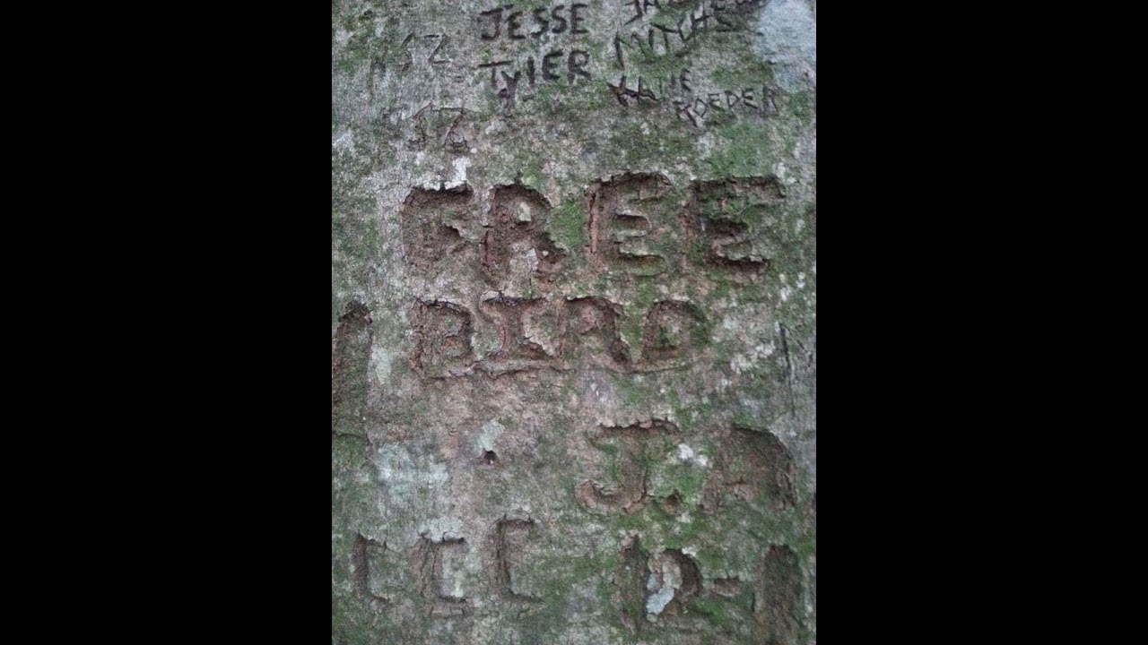 Lynyrd Skynyrd Plane Crash Site - 40 Years Later - A Visual Trip Around ...