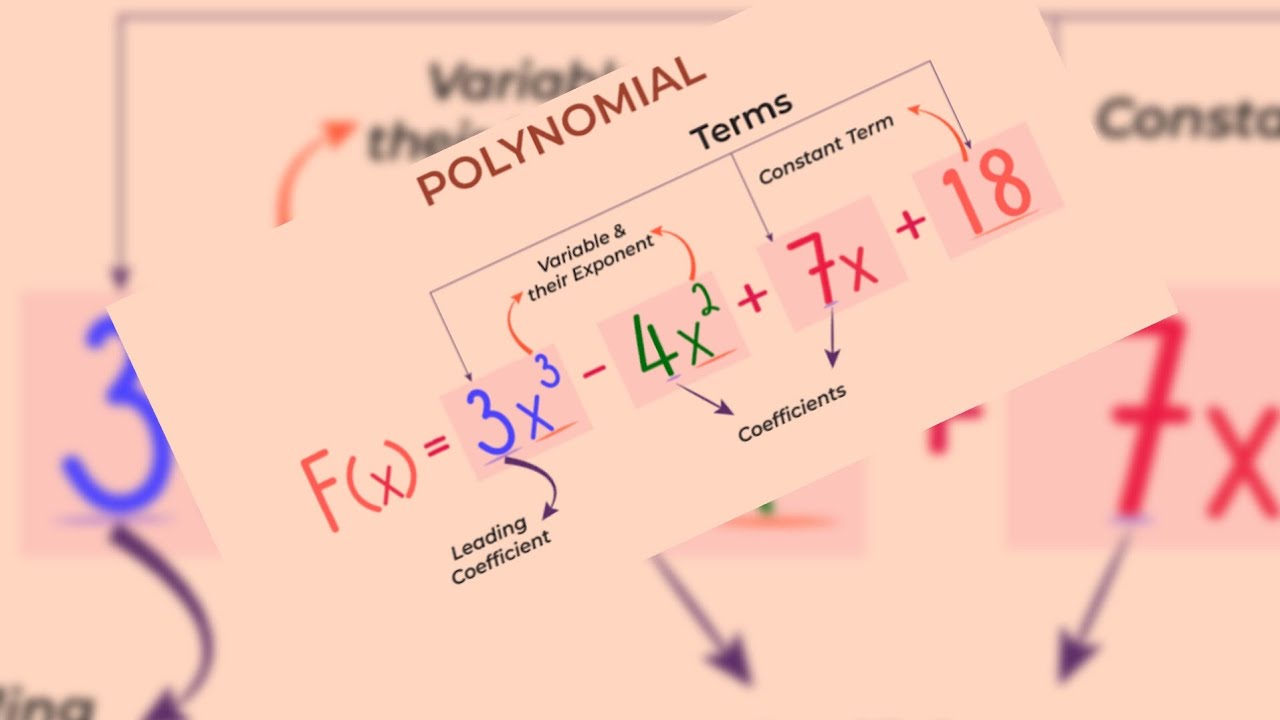 Solving the polynomials expression algebraically. class 9,10,11,12 ...