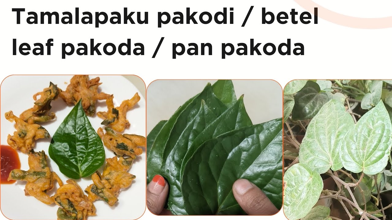Tamalapaku pakodi||betel leaf pakodi||pan pakodi - YouTube