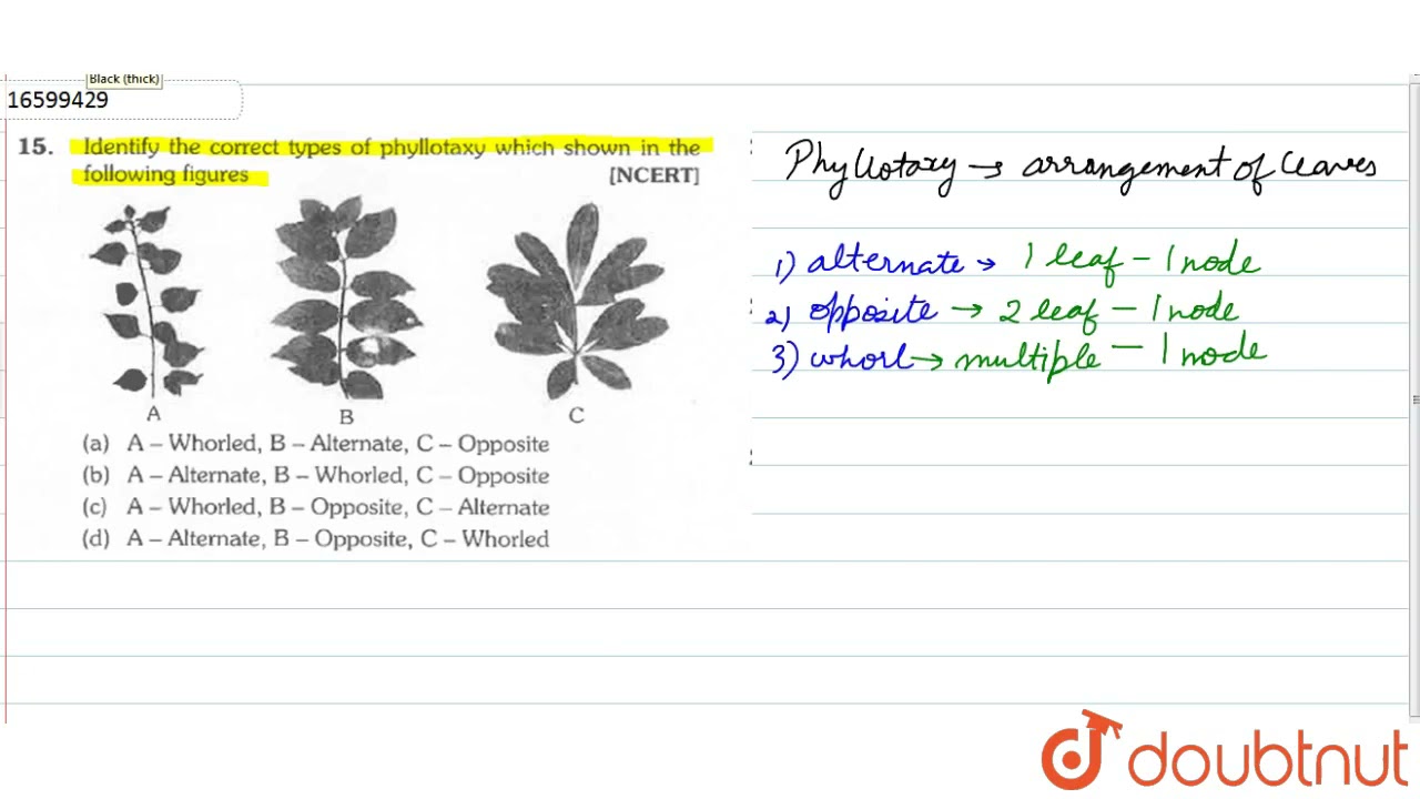 Identify the correct types of phyllotaxy which shown in the following ...