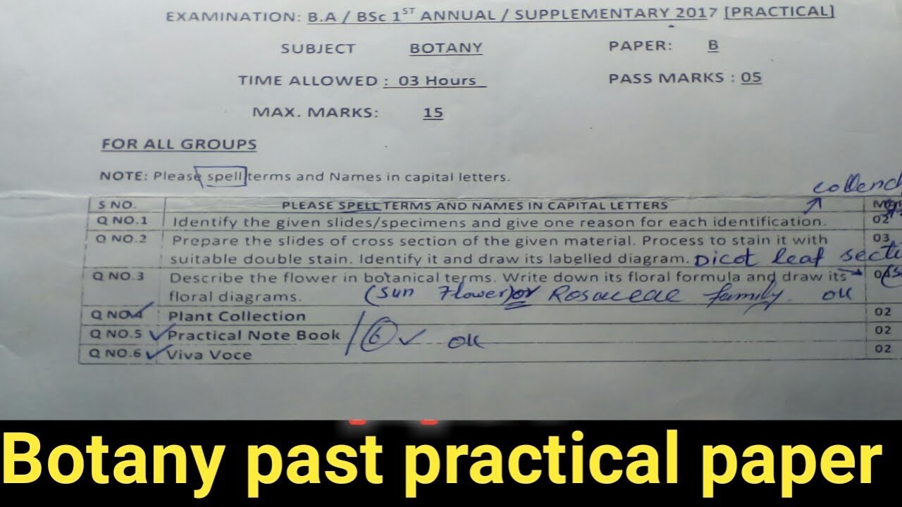 Past practical paper B of B.sc botany of Bzu - YouTube