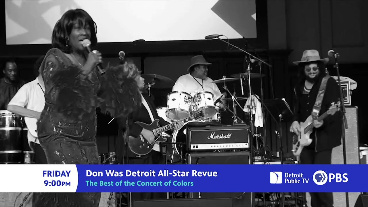 Don Was Detroit All-Star Revue: Best of the Concert of Colors Promo ...