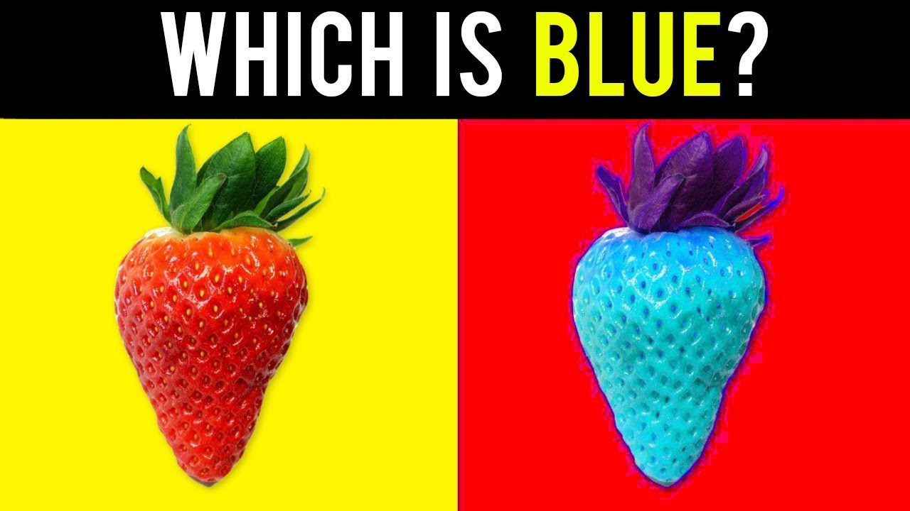 10 RIDDLES ONLY 5% OF PEOPLE CAN SOLVE - YouTube