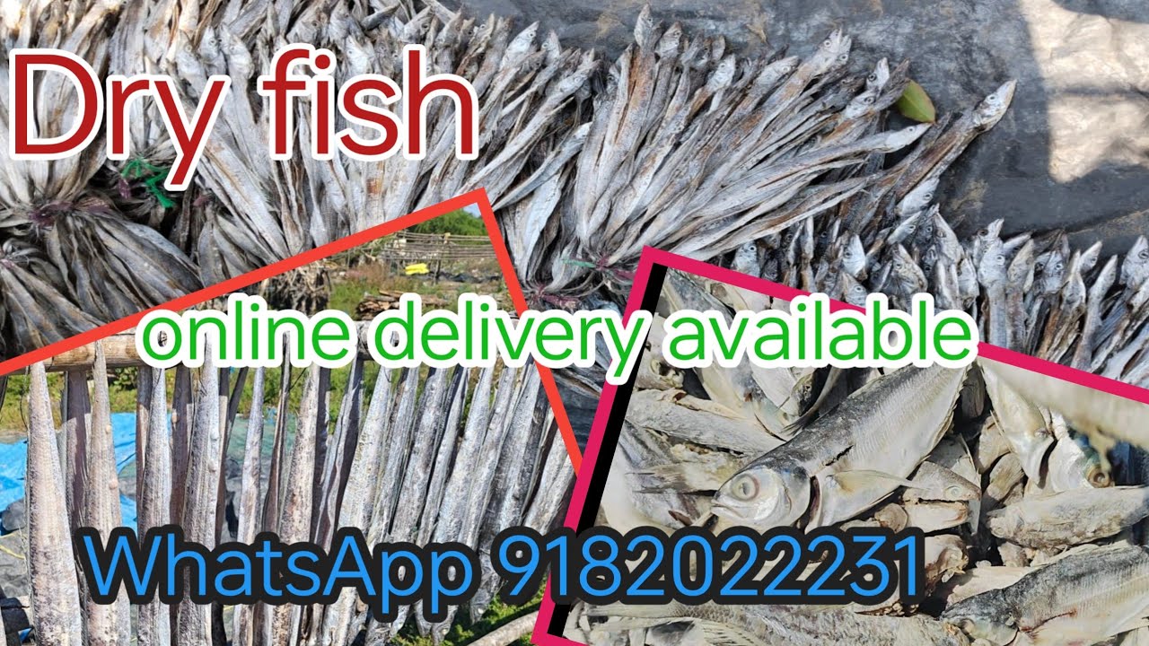 Wholesale price dry fish in vodarevu/exploring the ultimate dry fish ...