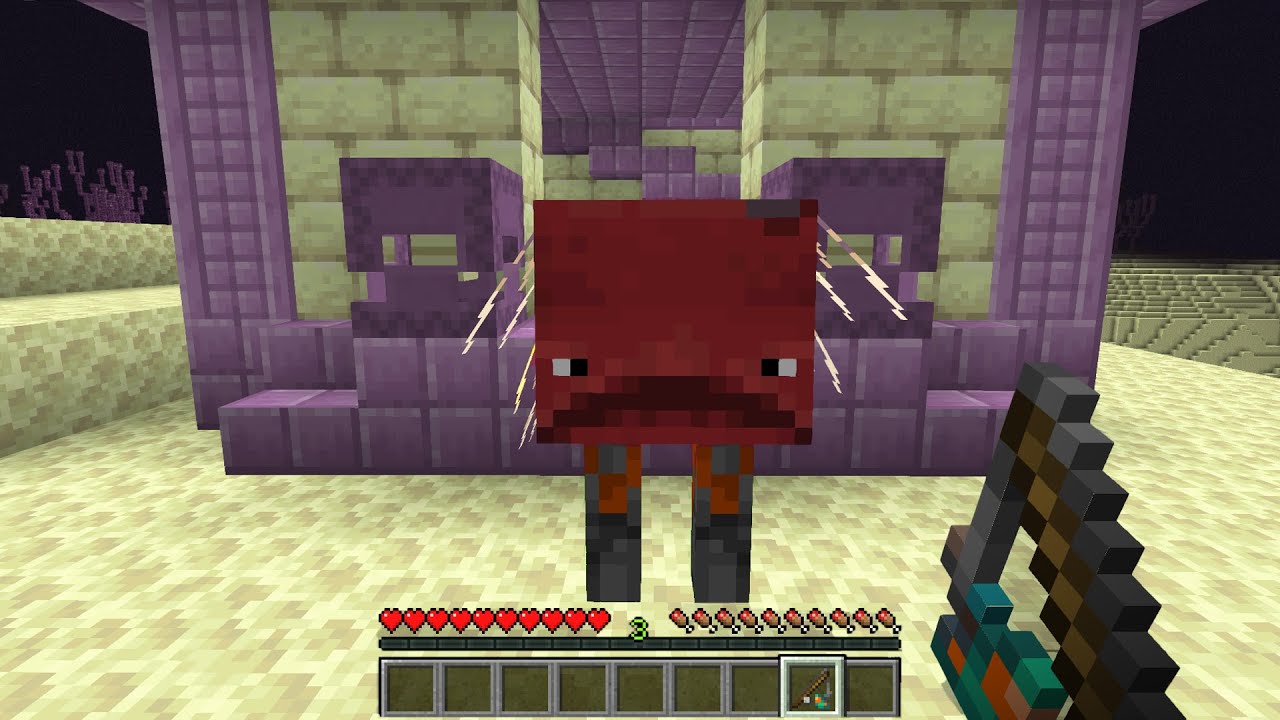 This is the RAREST Minecraft Screenshot - YouTube
