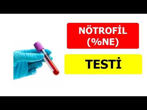 NÖTROFİL (NEU) YÜKSEKLİĞİ ve DÜŞÜKLÜĞÜ NE DEMEK ?