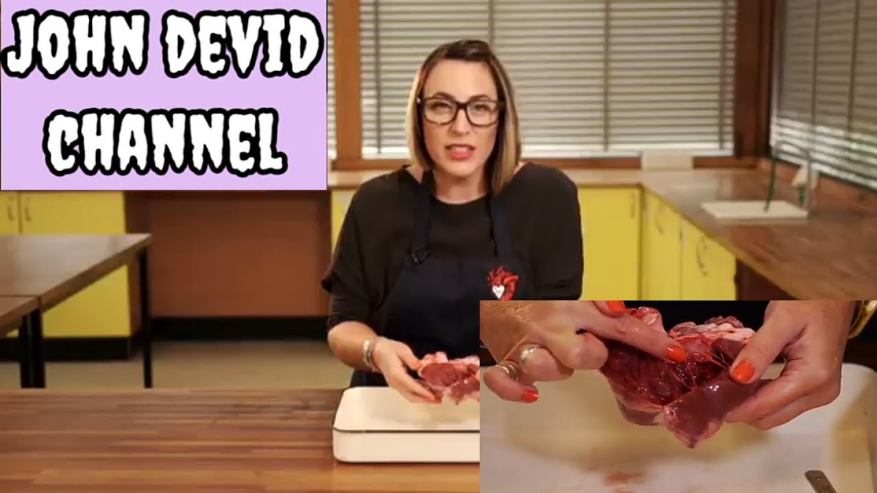 Heart Dissection Primary Schools -Key Stage GCSE and A-Level Biology ...