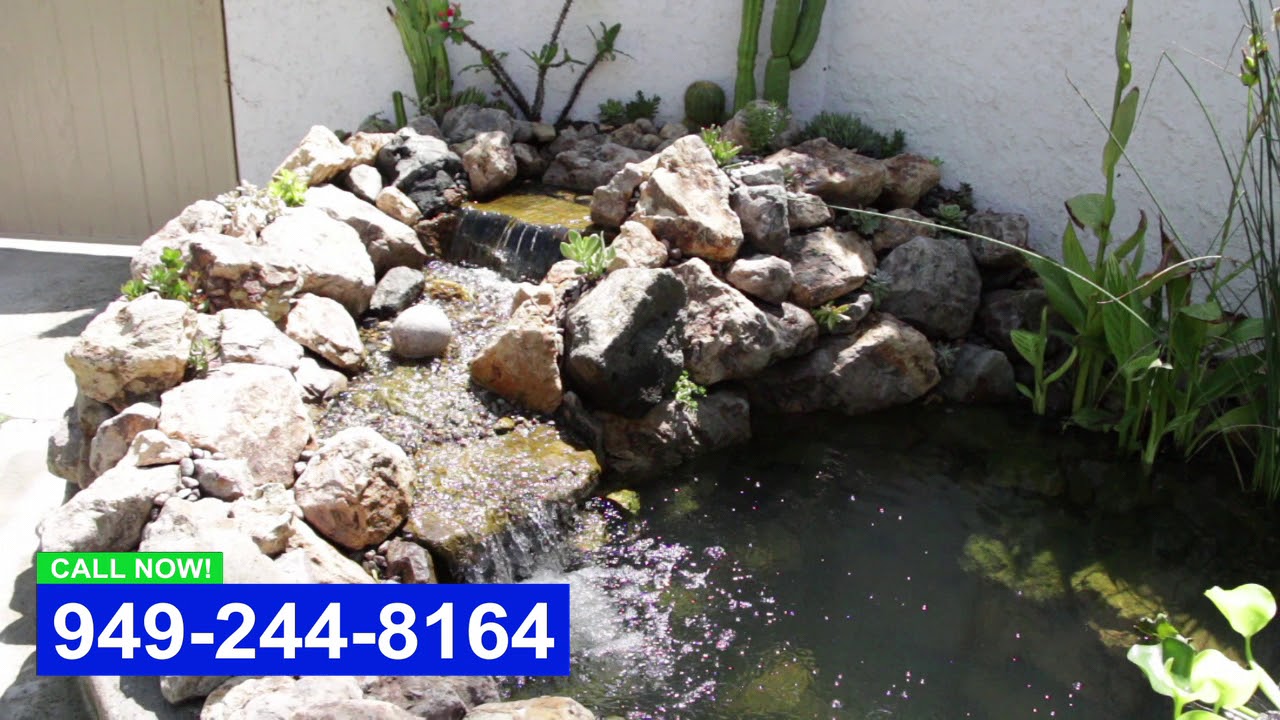 Low Maintenance Pond - YouTube