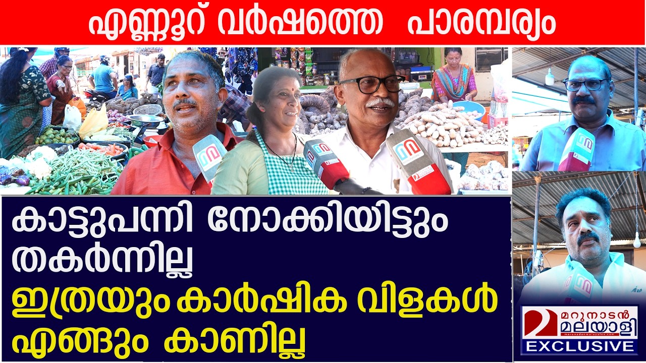 നൂറ്റാണ്ടുകളുടെ കാർഷിക ഉത്സവമായി ഓമല്ലൂർ വയൽ വാണിഭം | Omallur Vayal ...