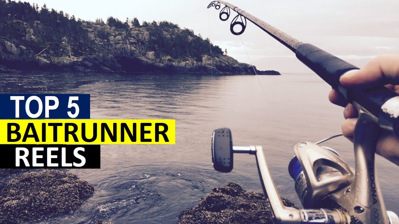 Best Baitrunner Reels 2020 || Top Best Baitrunner Reels 2020 || (Expert ...