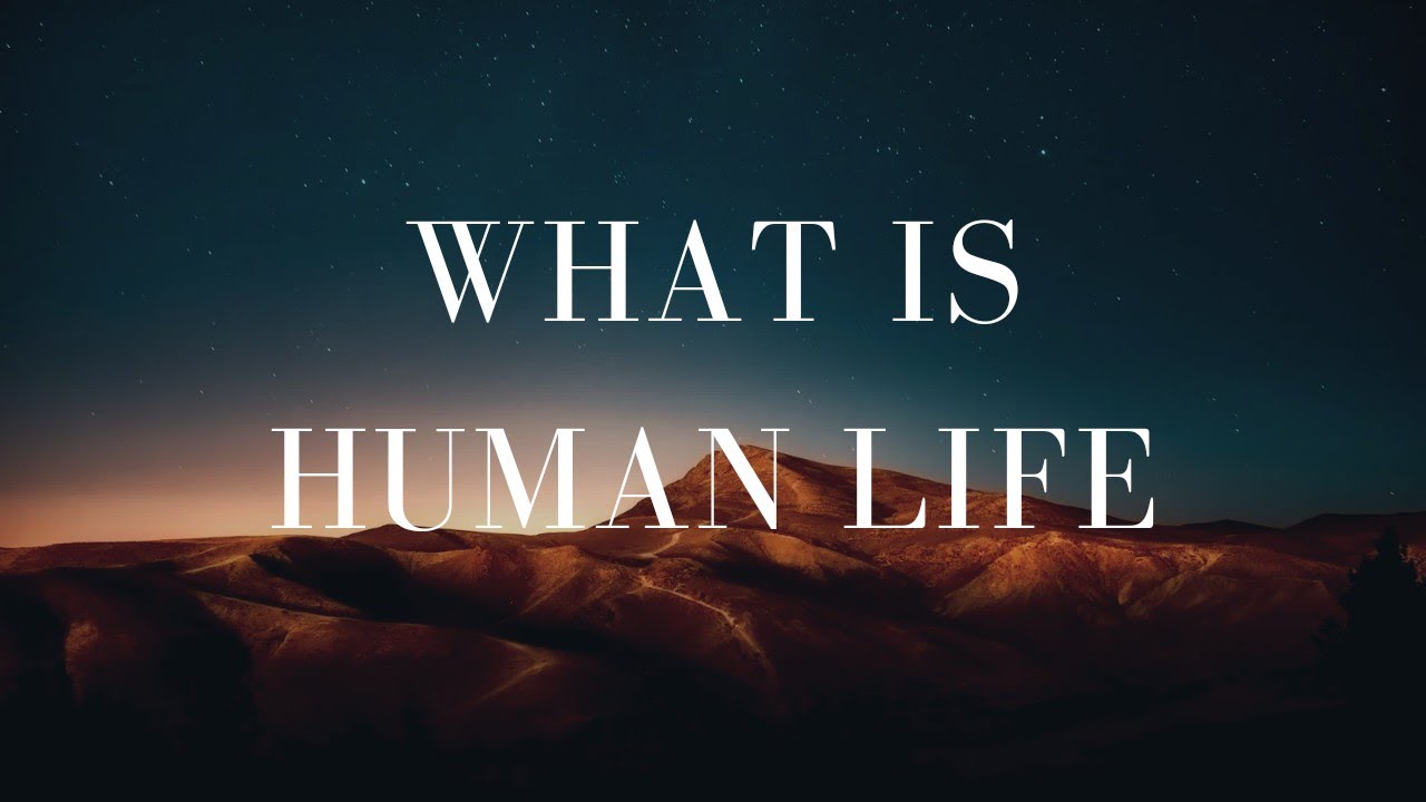 What is human life? - YouTube