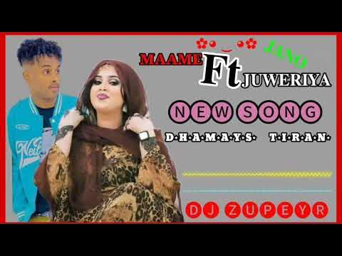 MAXAMED MAAME IYO JUWEERIYA JANO HEES CUSUB | DHAMAYS TIRAN | OFFICIAL MUSIC 2023 - YouTube