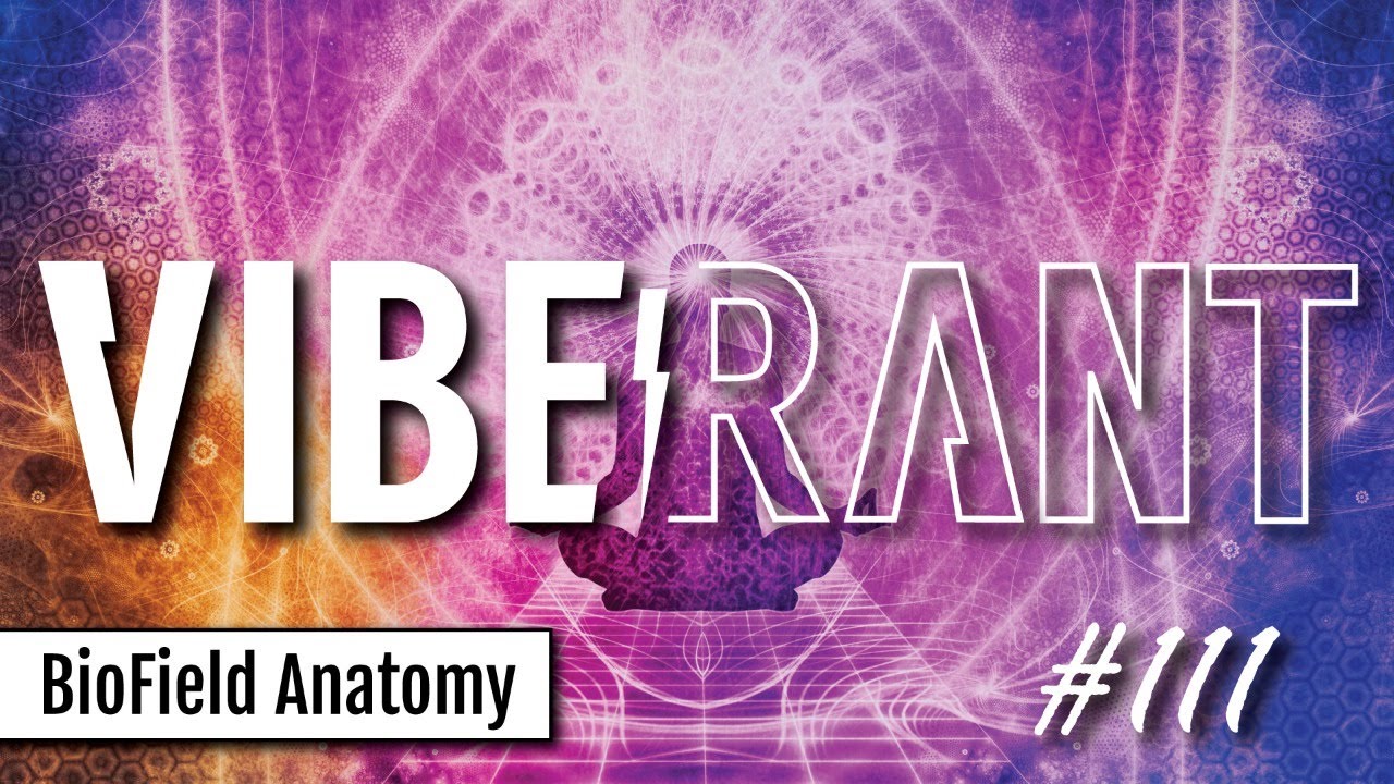 The Biofield Anatomy of Your Energy Body with Topher Gardner | Vibe ...