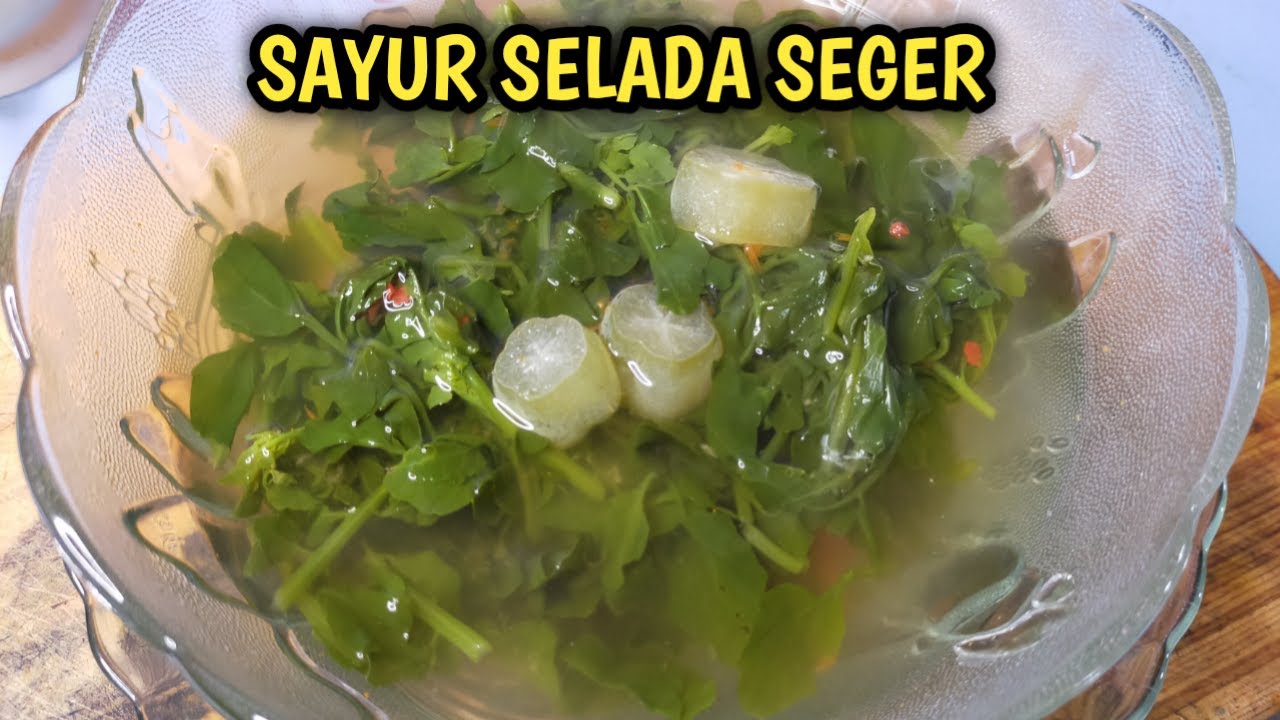 SAYUR SELADA #mamitaexperiment #26 - YouTube