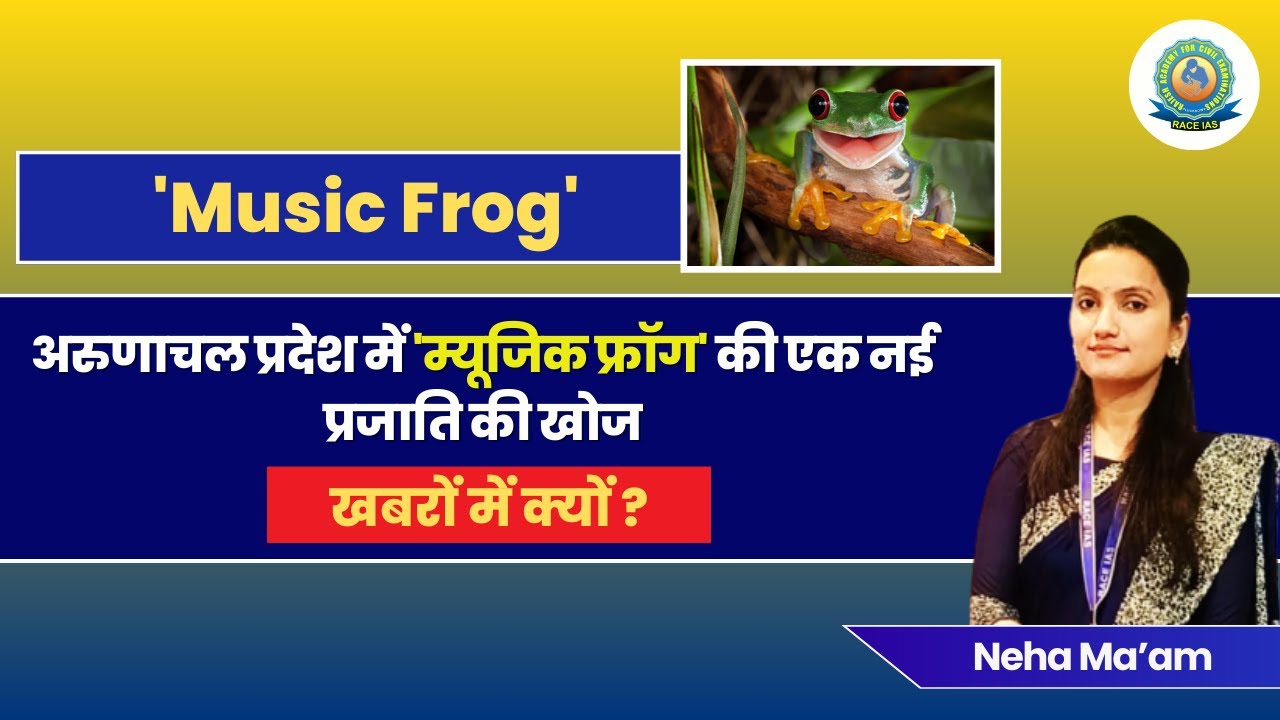 Nidirana Noadihing -Music Frog founded in Arunachal Pradesh | melodic ...