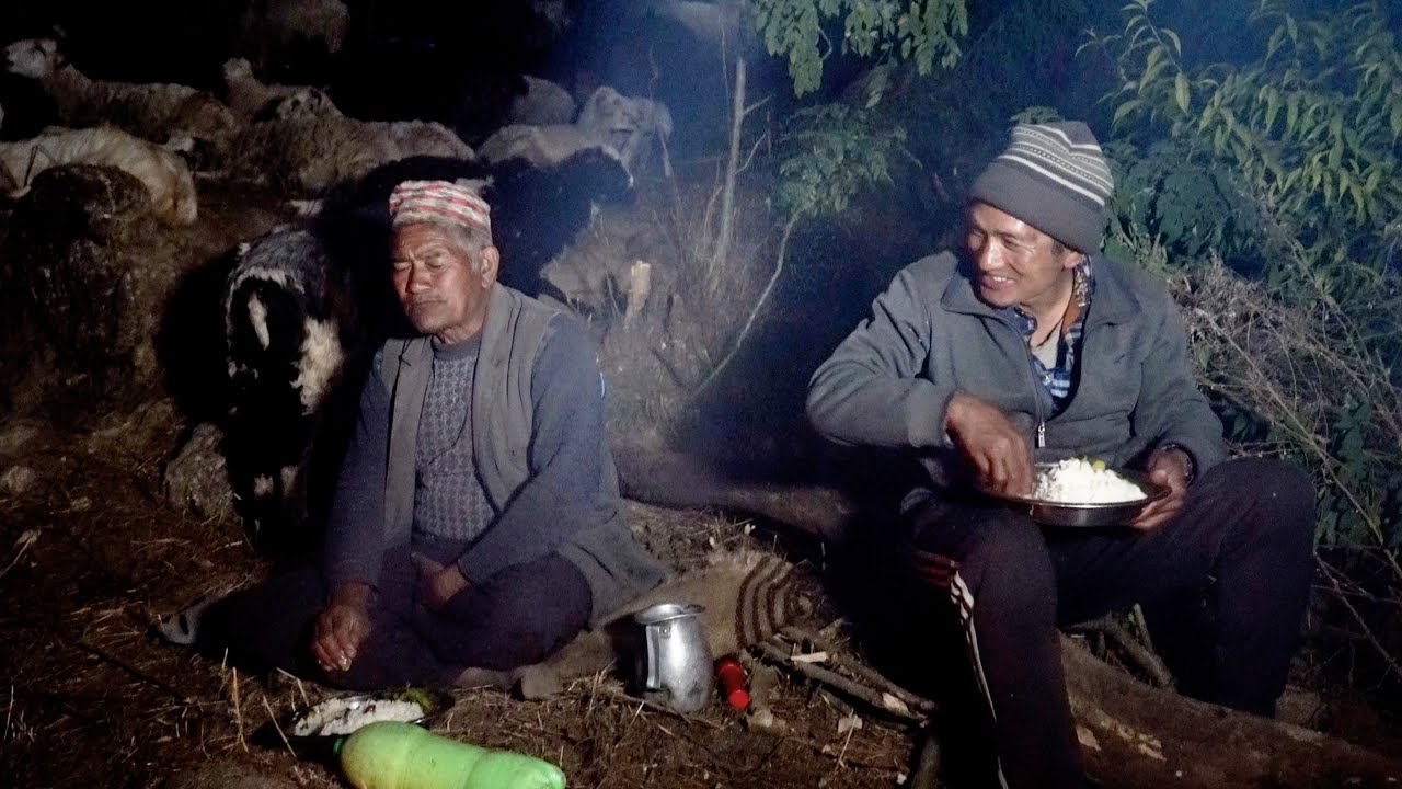 shepherd people cooking dinner & eating all together in the Himalayan ...