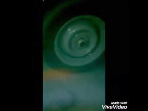 Gence aftosu elesger