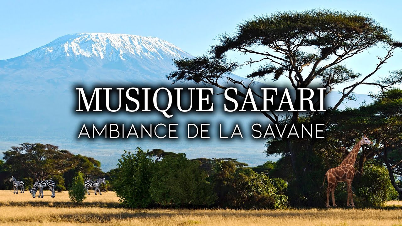Style Safari Musique Ethnique Africaine avec des Bruits D'animaux en ...