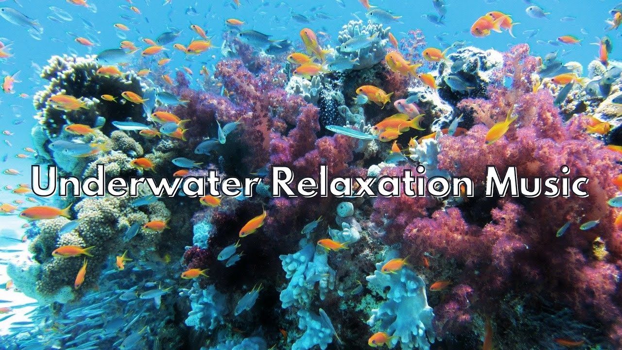 Deep Healing Music, Underwater Relaxation Music, Instant Relief from ...