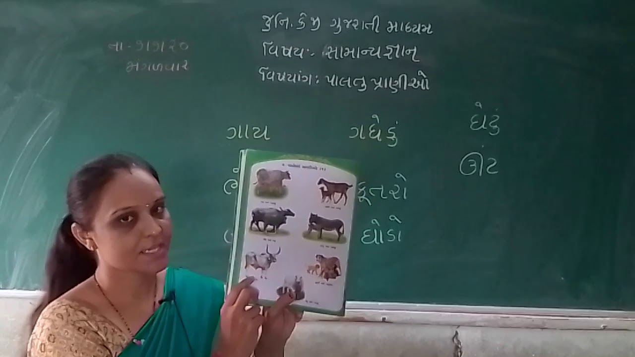 JR KG GUJ MED SUB GK CH PALTU PRANIO - YouTube