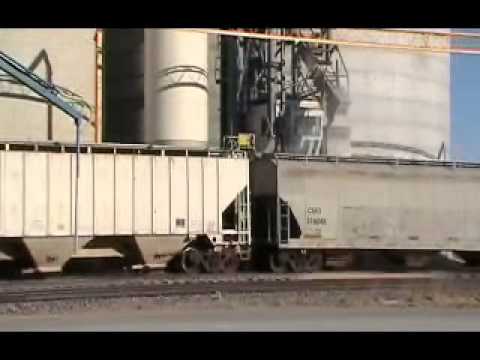 Loading the grain - YouTube