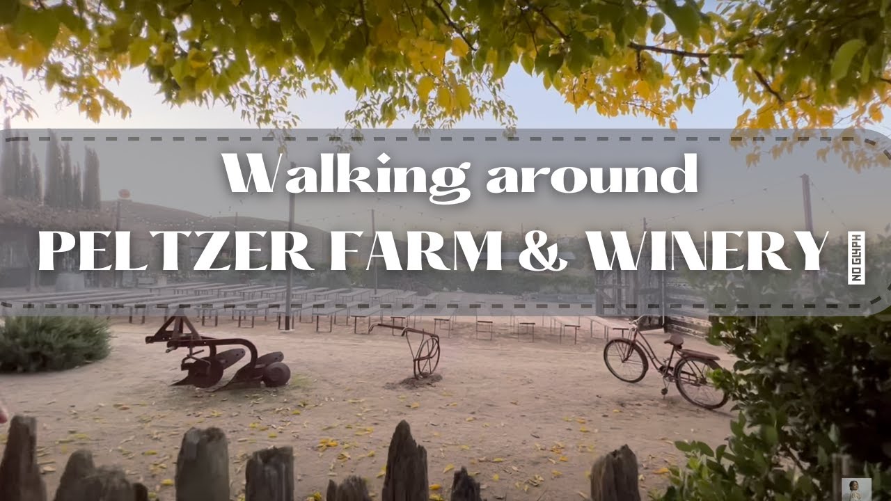 Things to do in California - Walking around Peltzer Farm & Winery - YouTube