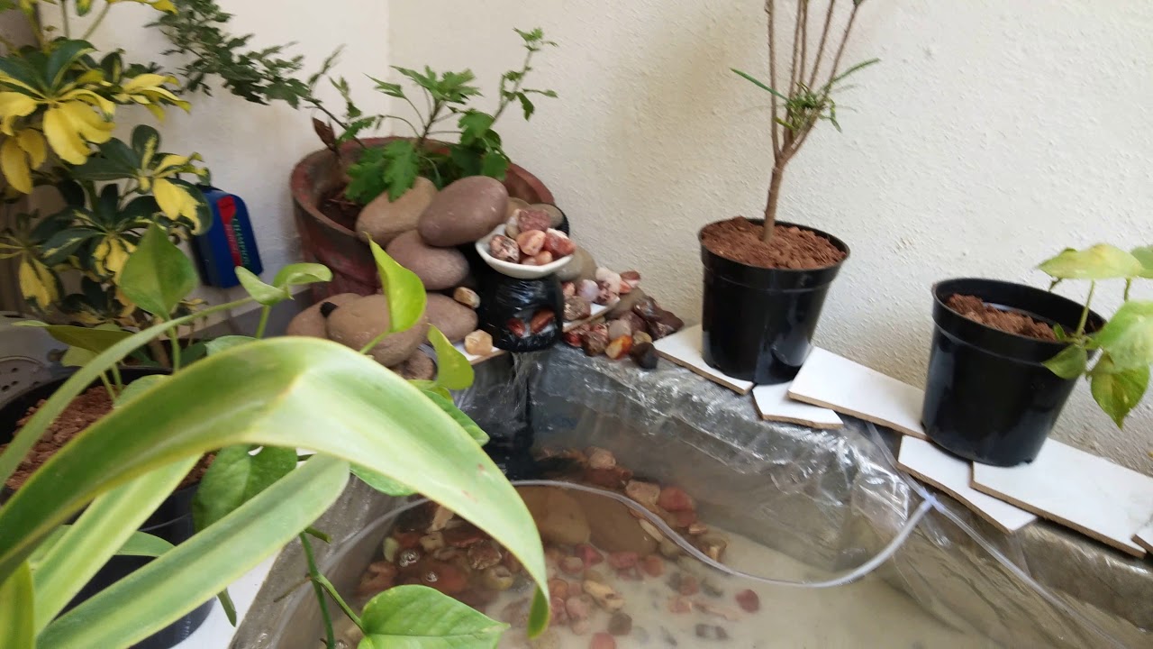 DIY Fish Pond in our balcony - YouTube