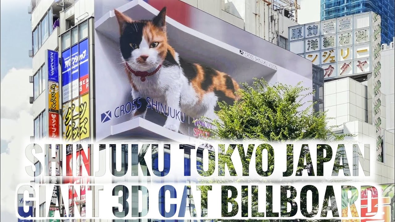 [4K] Giant Cat 3D Billboard - Shinjuku Tokyo Japan - July 24, 2021 ...