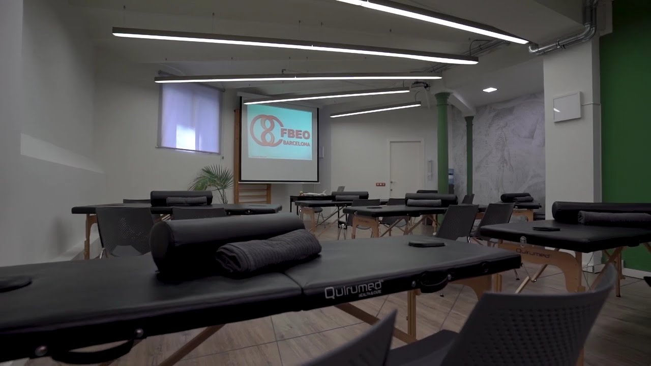 Máster en Osteopatía FBEO (Formación Belga Española de Osteopatía) en ...