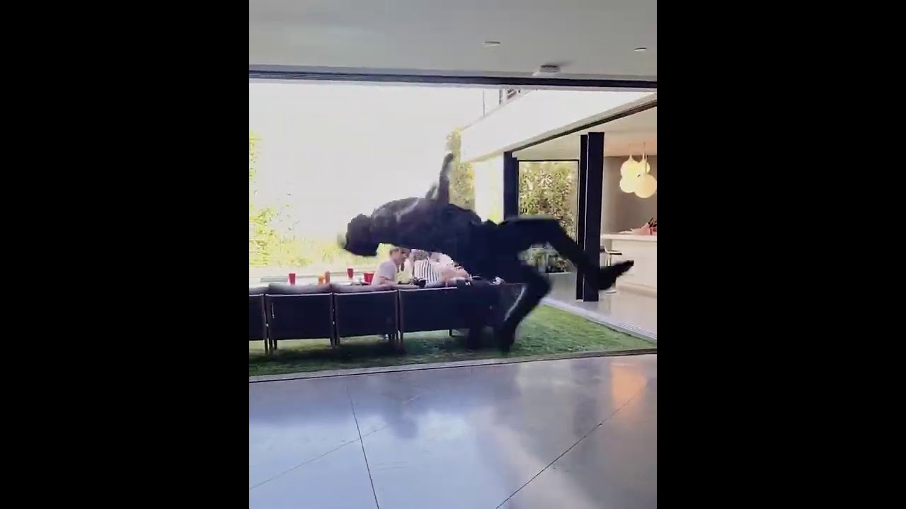 Guy doing amazing flips | Backflip | Viral Video - YouTube