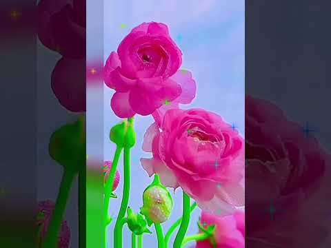 Beautiful flower #natural ground #full video HD 💗🥰