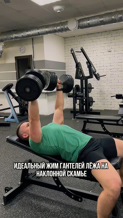 Почти идеальный жим гантелей лёжа на наклонной скамье бодибилдинг