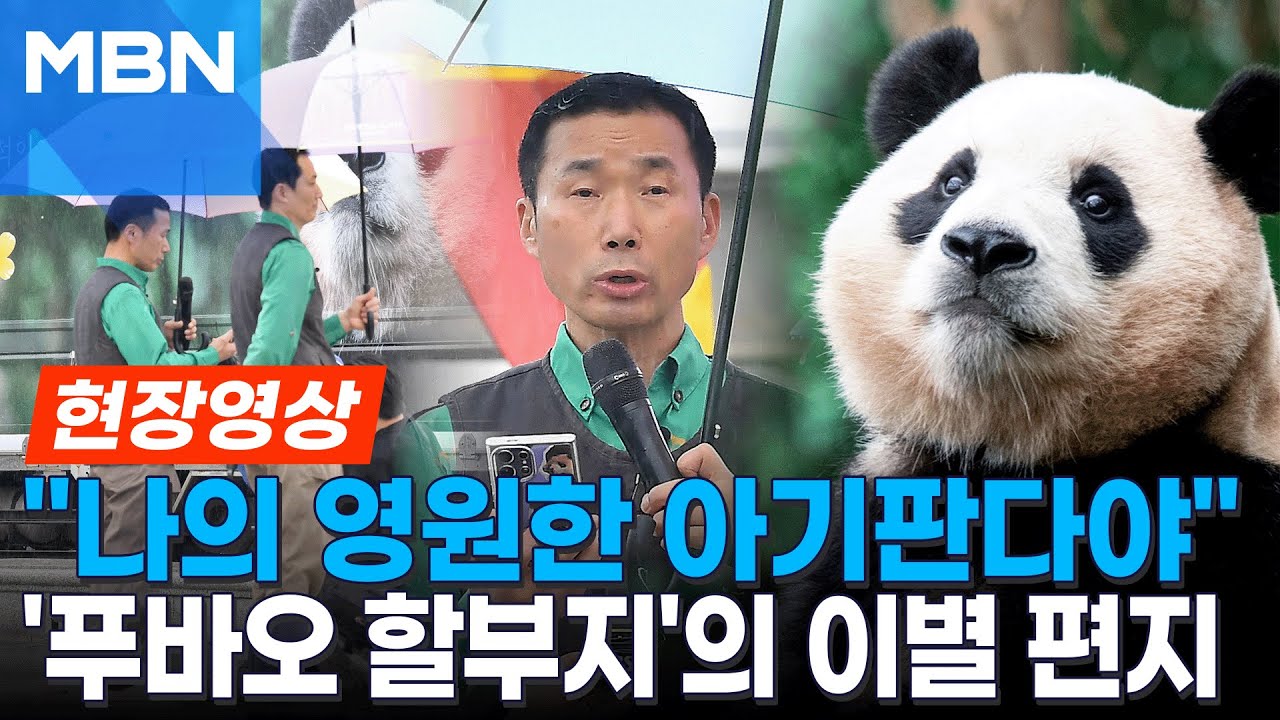 현장영상 100년이 지나도 우리의 영원한 아기 판다야푸바오에 보내는 강철원 사육사의 편지 Youtube